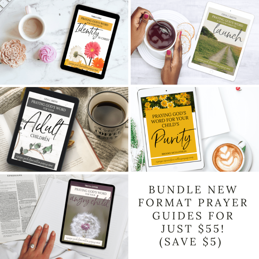 New Format Prayer Guides Bundle - Million Praying Moms