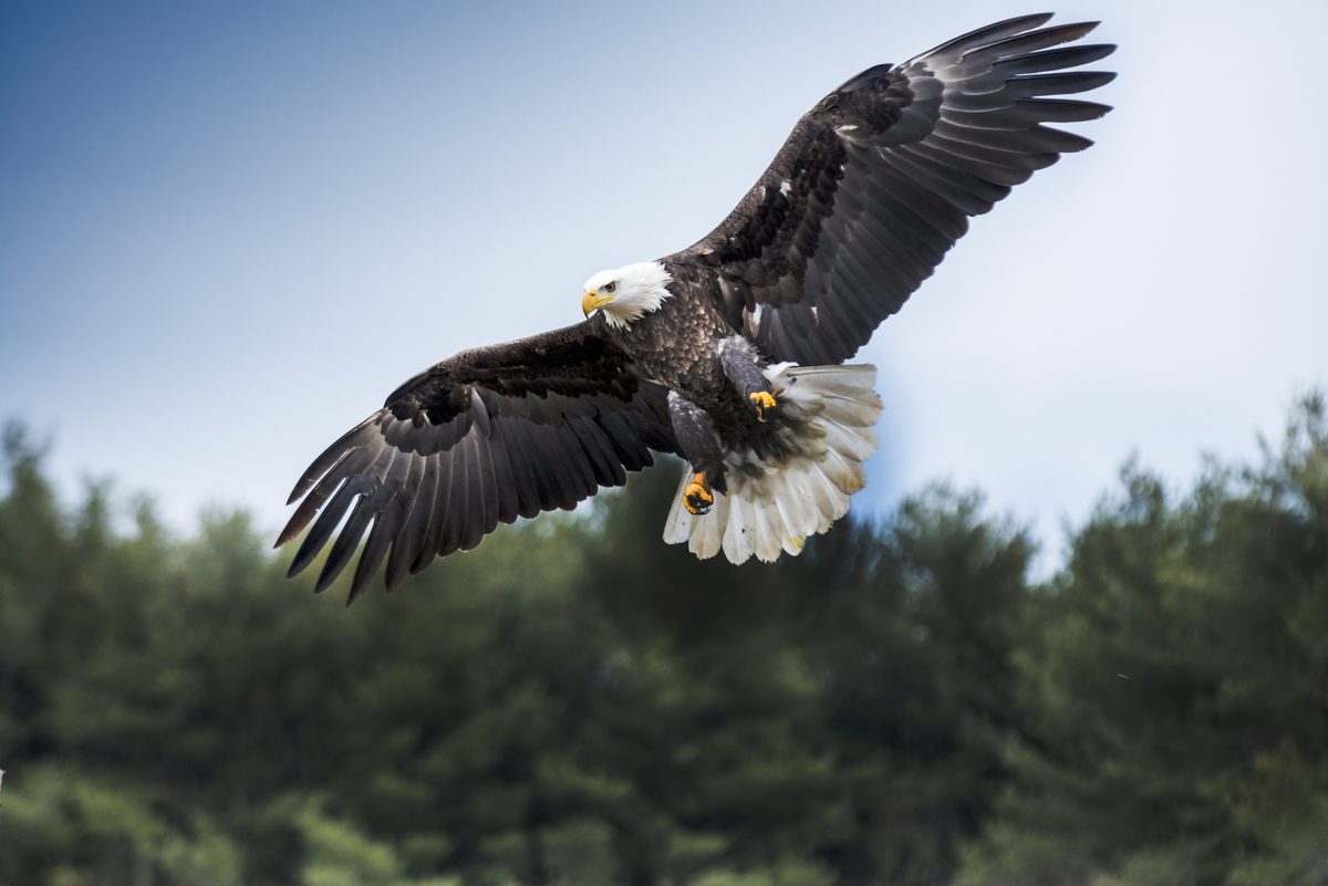 A Prayer for When You’re Afraid the Worst Is Yet to Come - Million ...